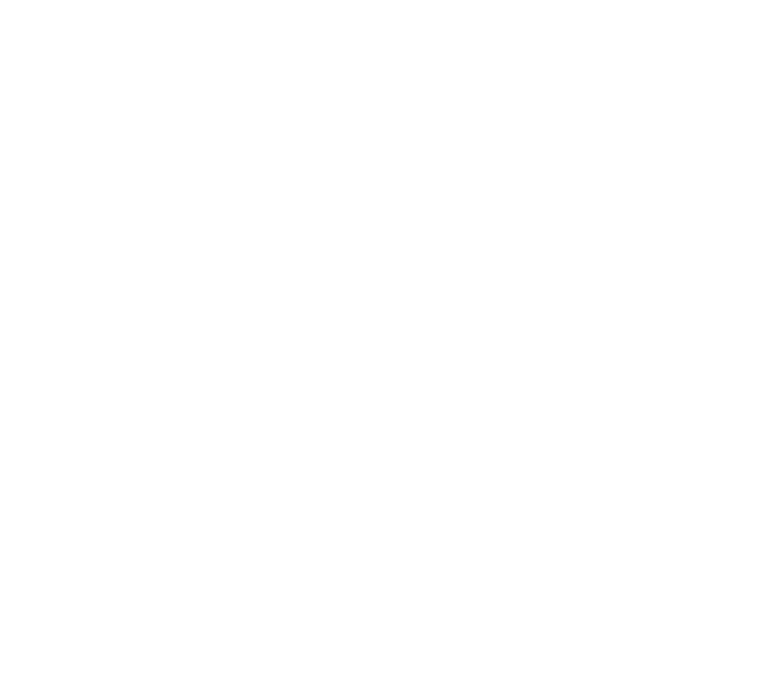 Alpha Chip Electronics GmbH